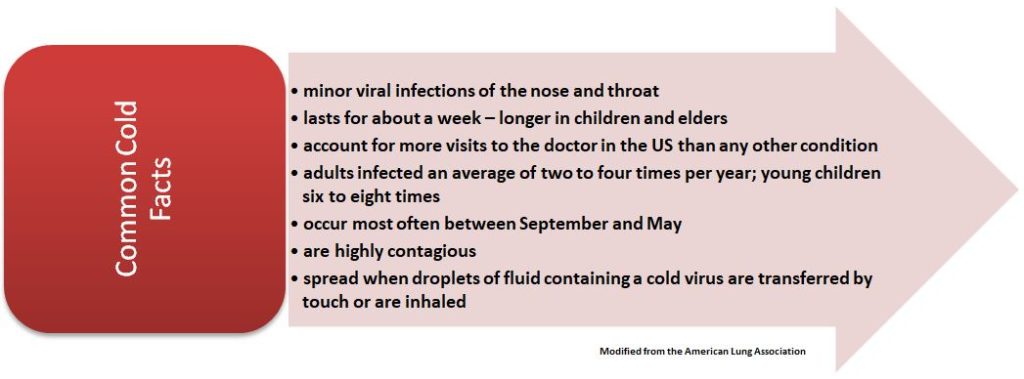 common cold graphic - Medical Terminology Blog